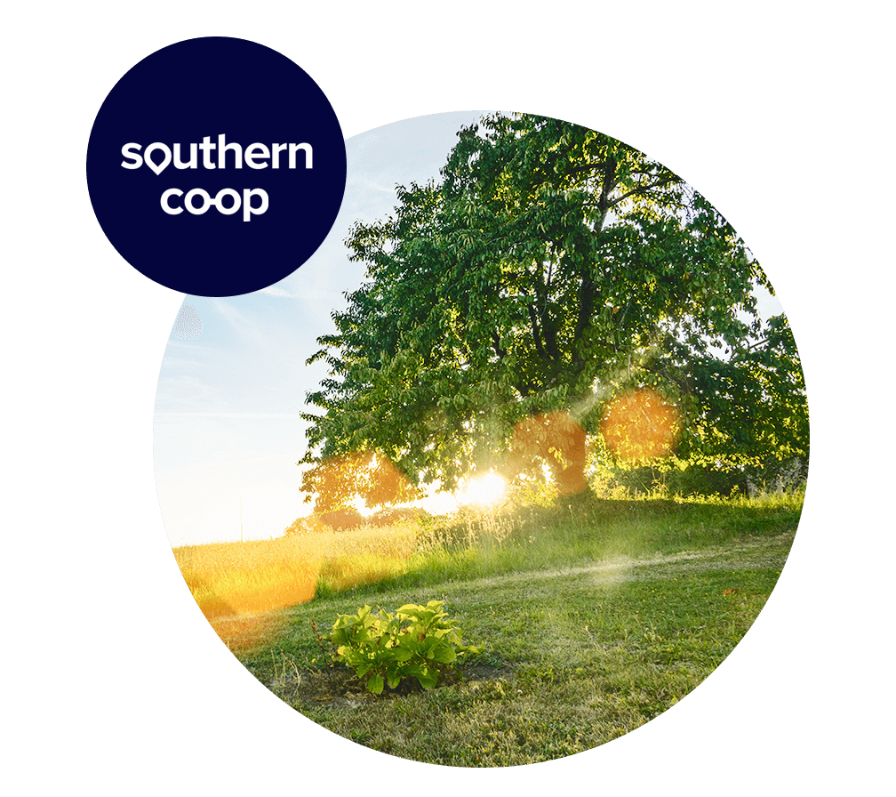 Halving food waste by 2030 - Co-op