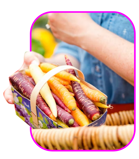 On Shelf Availability | Retail Inventory Management | Retail Insight